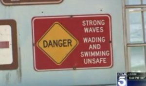 Bernese Mountain Dog Heard Cries For Help Coming From The Water ...