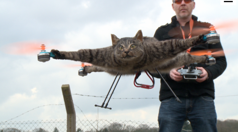 Would you believe if this guy made his dead cat into a working drone ...